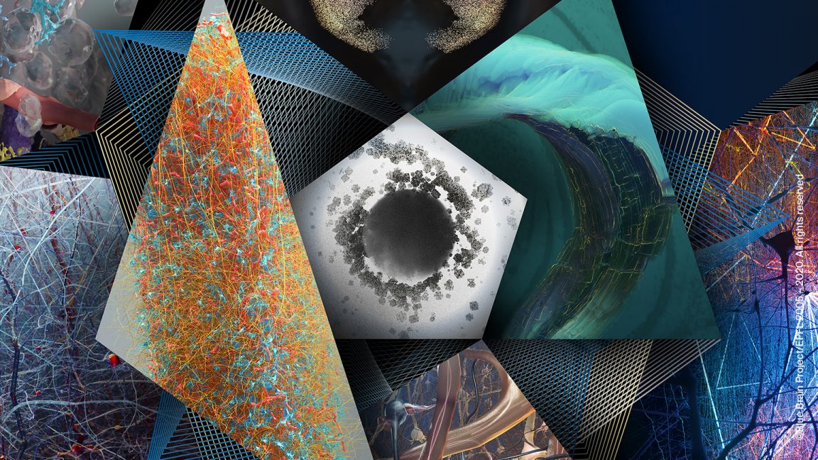 Press Resources ‒ Blue Brain Project ‐ EPFL