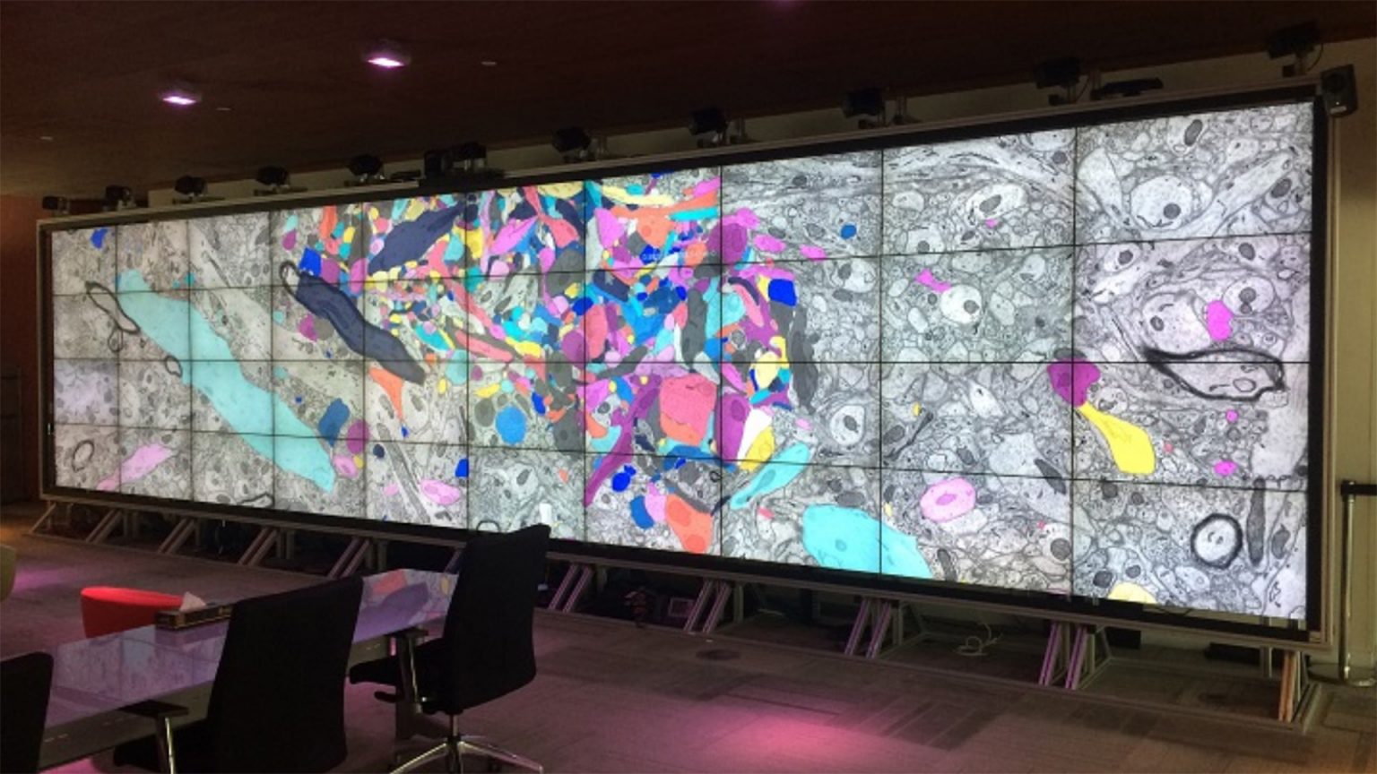 In brief ‒ Blue Brain Project ‐ EPFL