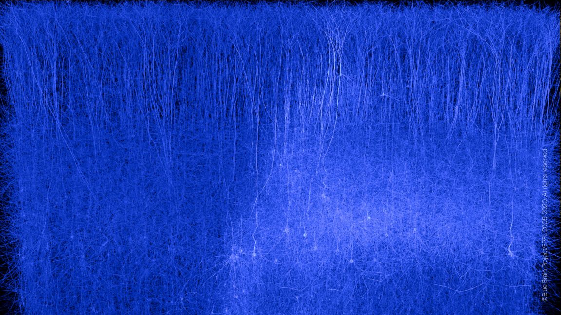Blue Brain Project ‐ EPFL
