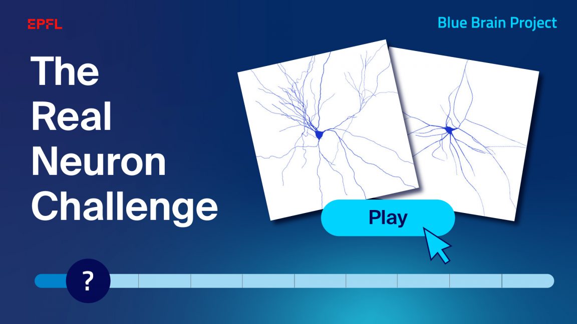 Blue Brain Project ‐ EPFL
