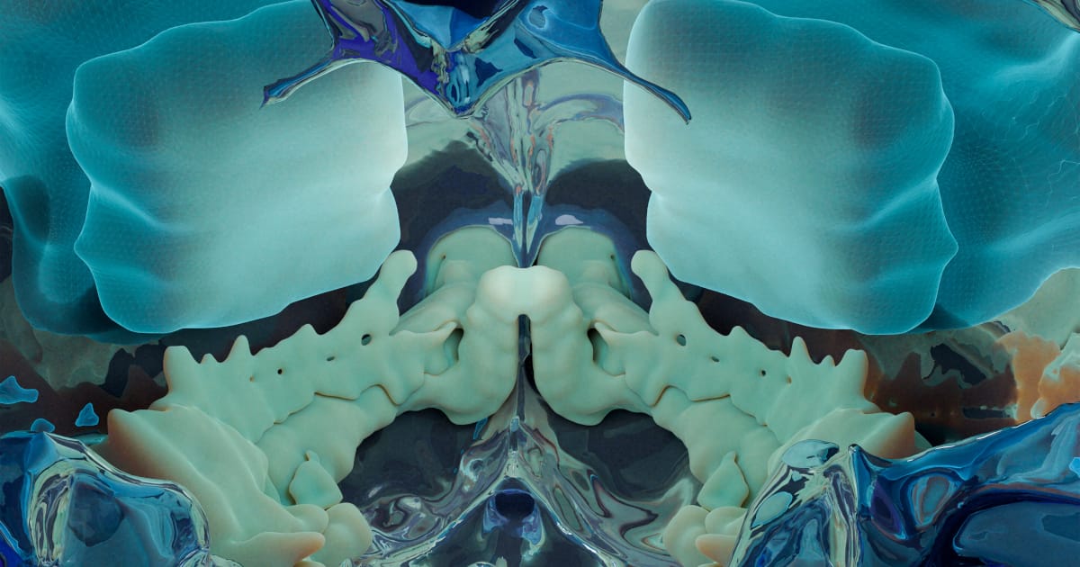 Synaptic pathways / Digital reconstructions / SSCx Portal